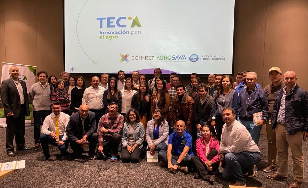 Definimos estrategias para continuar fortaleciendo el proyecto TEC.A | connect bogota